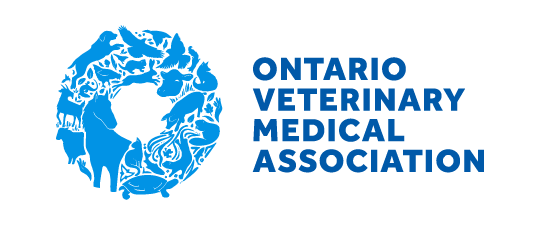 Award Winning Toronto Web Design and Development Agency Canada